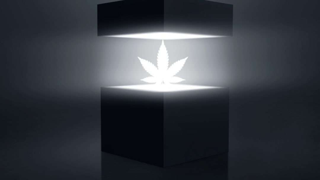 Rescheduling Cannabis: A Pandora's Box of Uncertain Regulatory ...