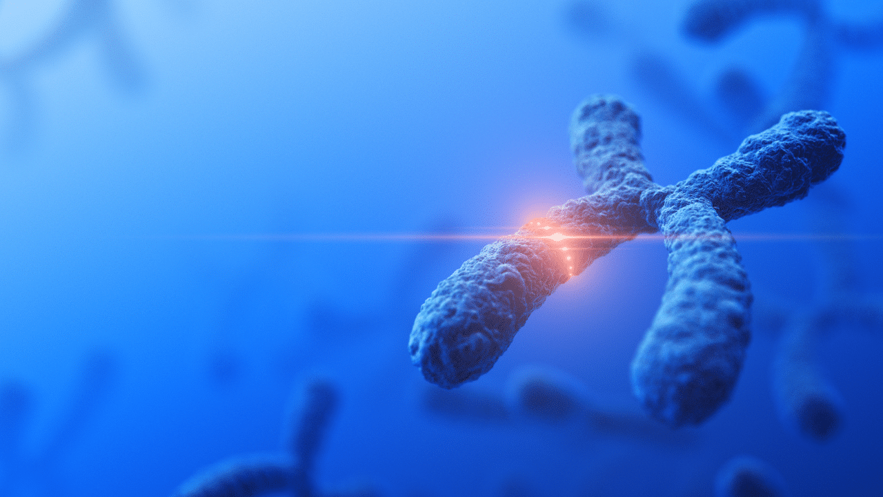 Unlock Huge Potential: Triploid Cannabis and Its Implications for the ...