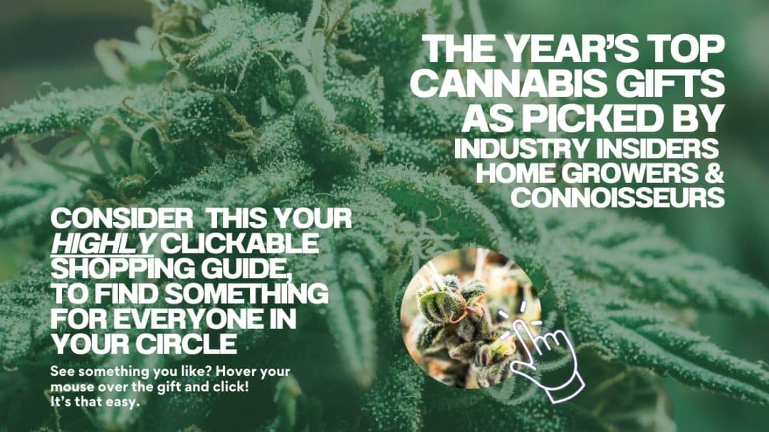 Weed Gifts? The 2024 Cannabis Tech Holiday Gift Guide is Here ...
